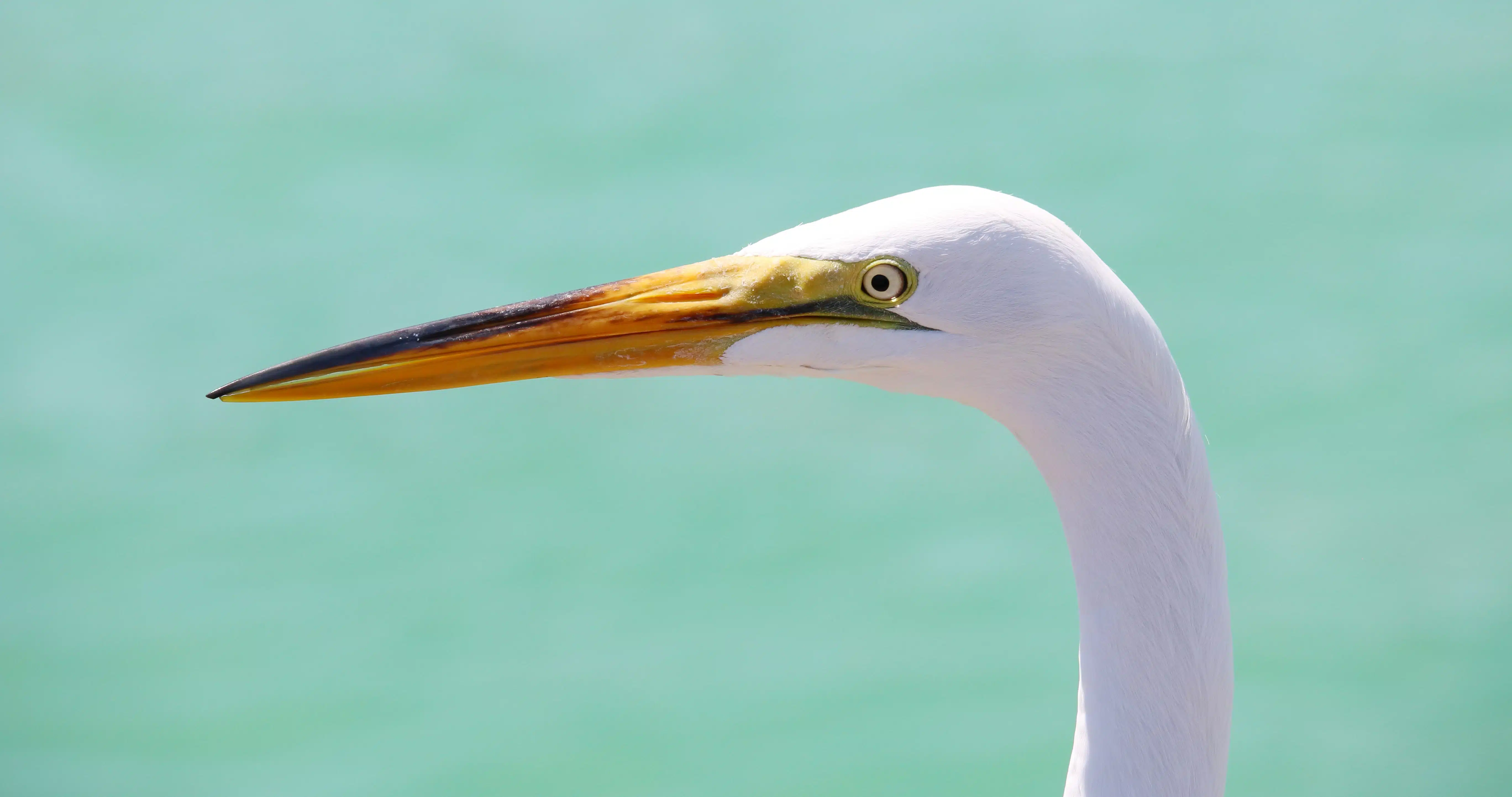 Bean Point Beach: Full Guide (2023)