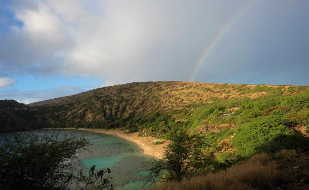 All-inclusive Guide To Hanauma Bay Lookout In 2023