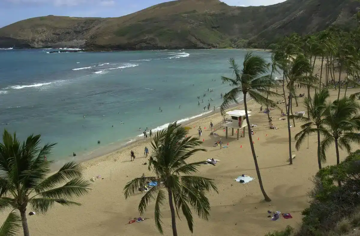 All-inclusive Guide To Hanauma Bay Lookout In 2023