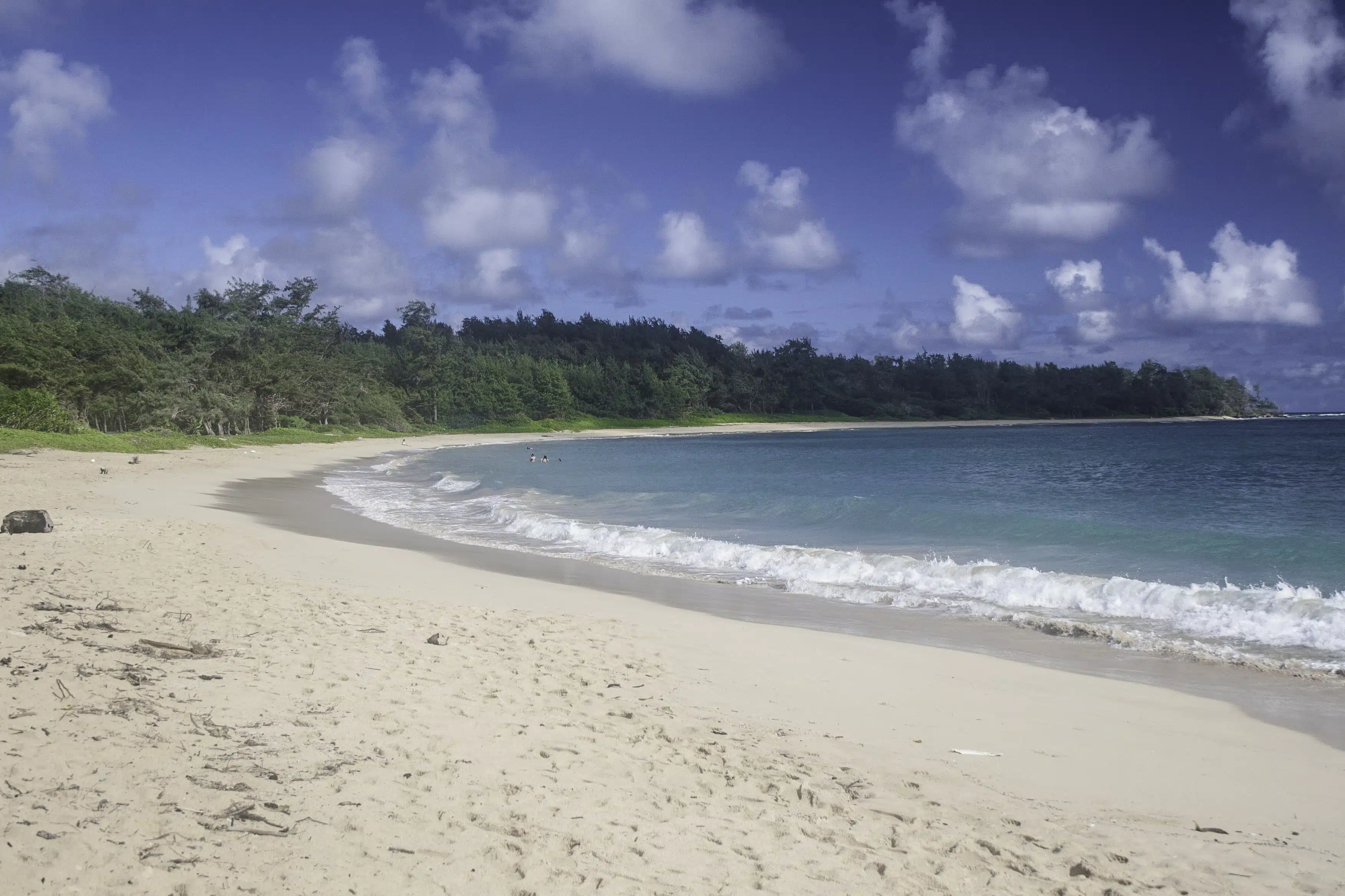 The Ultimate Guide To Hukilau Beach Park In 2023
