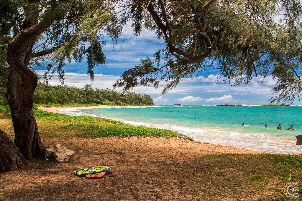 The Ultimate Guide To Hukilau Beach Park In 2023