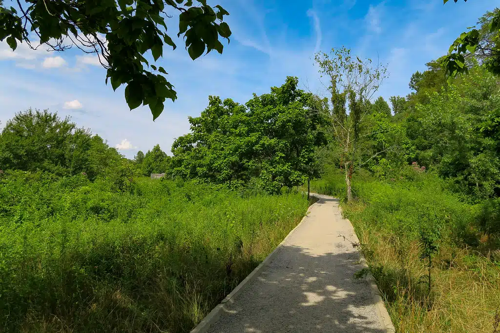 Long Point Trailhead – Full Guide (2023)