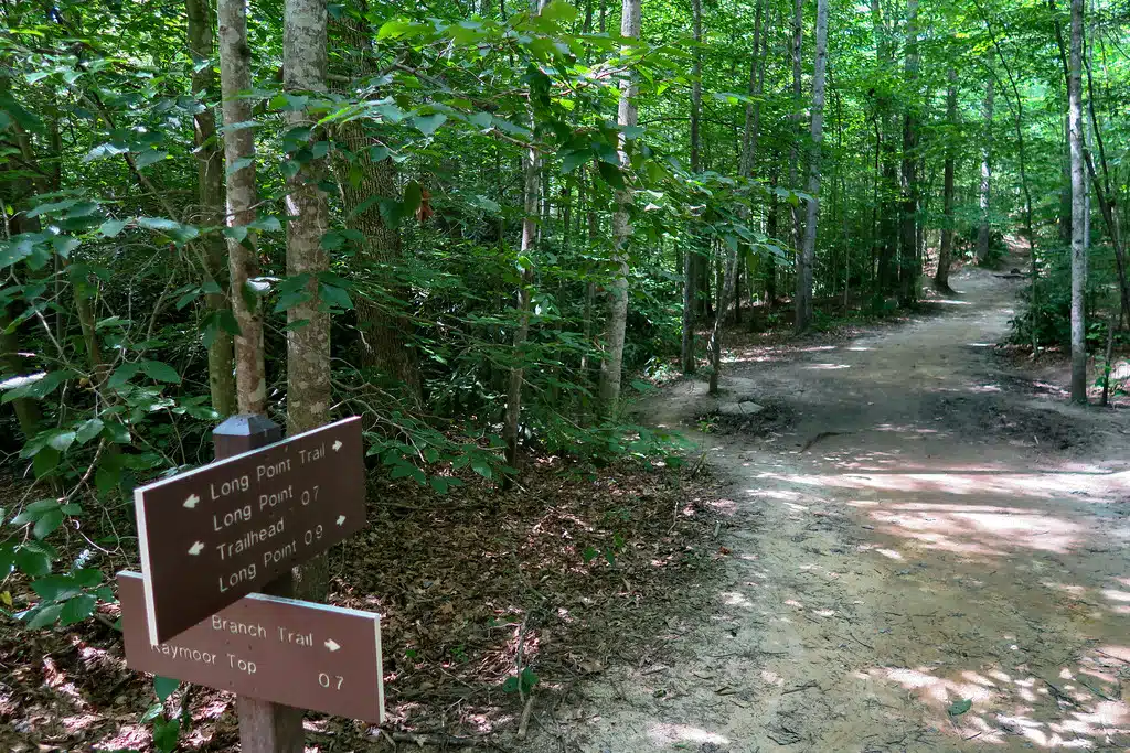 Long Point Trailhead – Full Guide (2023)