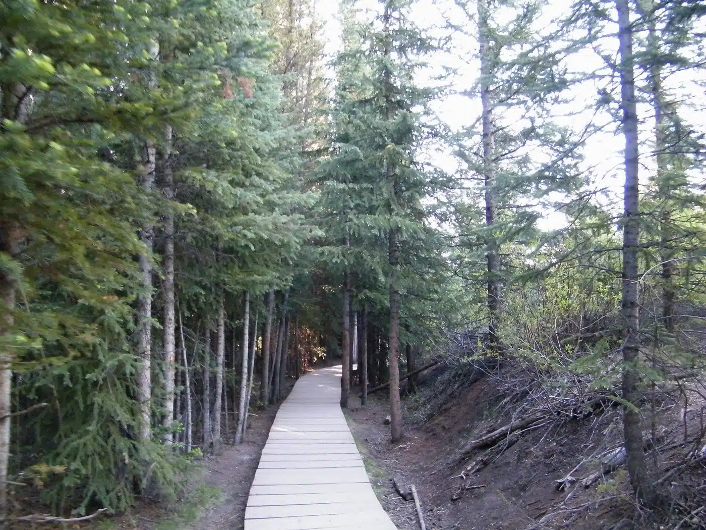 Breckenridge Troll Hike: Worth It (2024 Guide)