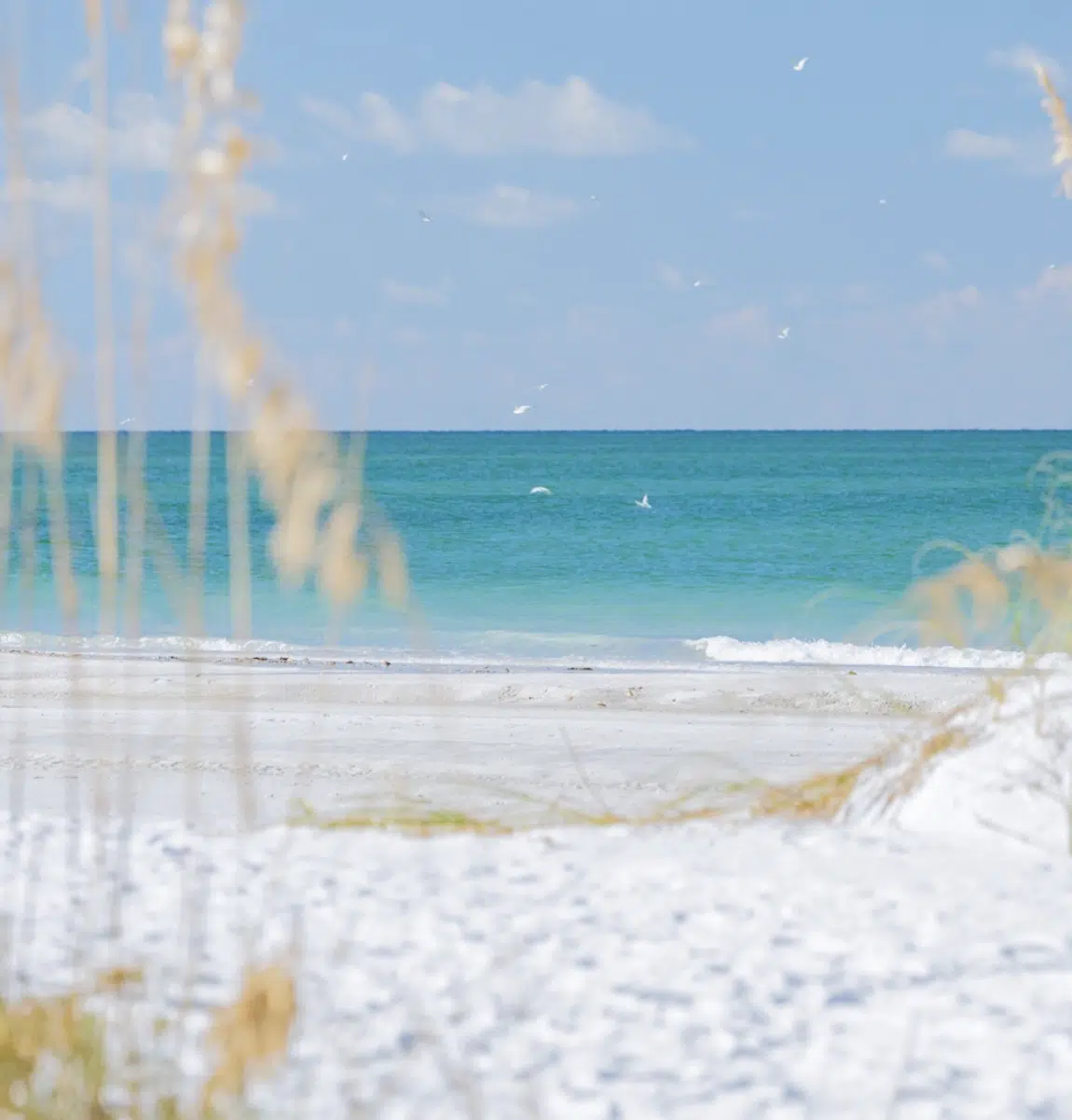 WHY (NOT) Visit Anna Maria Island's Bean Point Beach?
