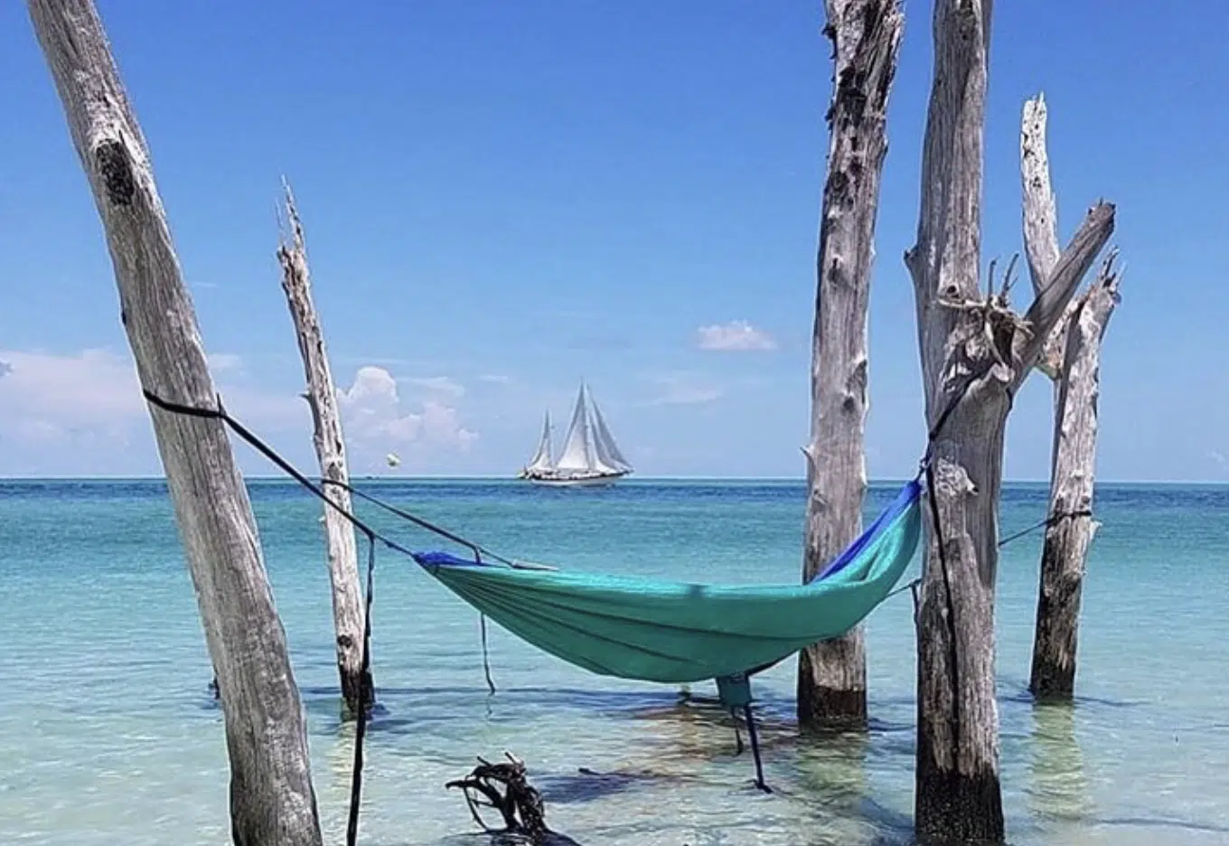WHY (NOT) Visit Anna Maria Island's Bean Point Beach?