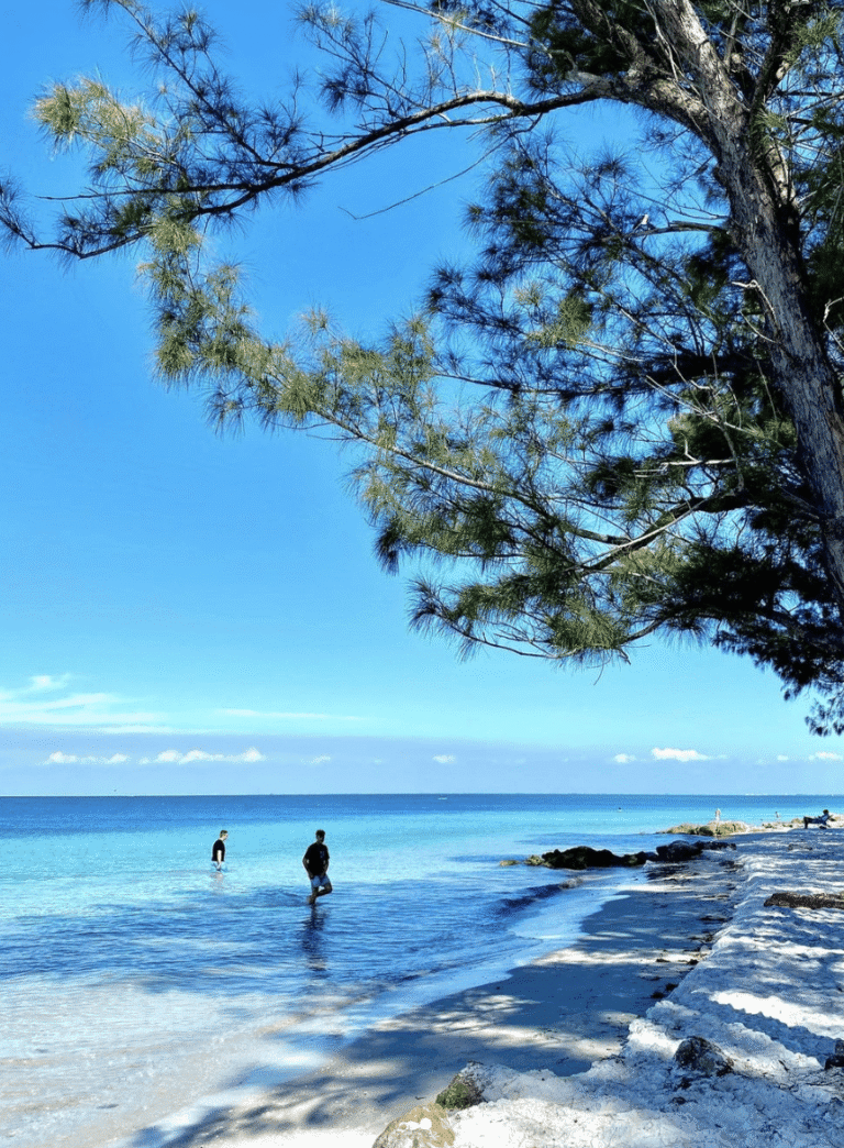 WHY Visit Anna Maria Island's Bean Point Beach?