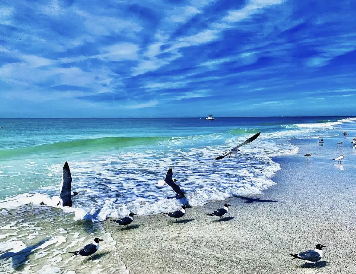 WHY (NOT) Visit Anna Maria Island's Bean Point Beach?
