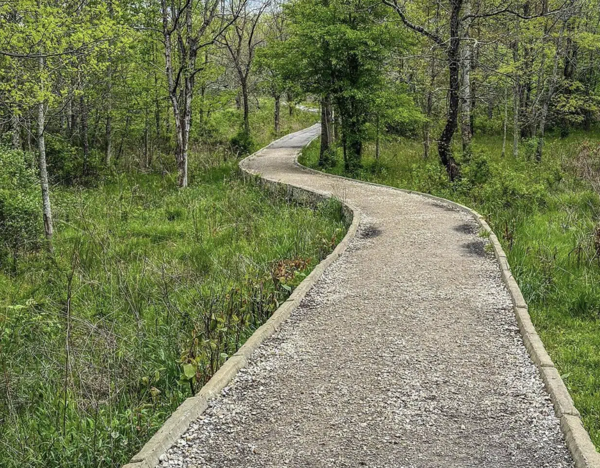 Long Point Trailhead: What Do You Need To Know?