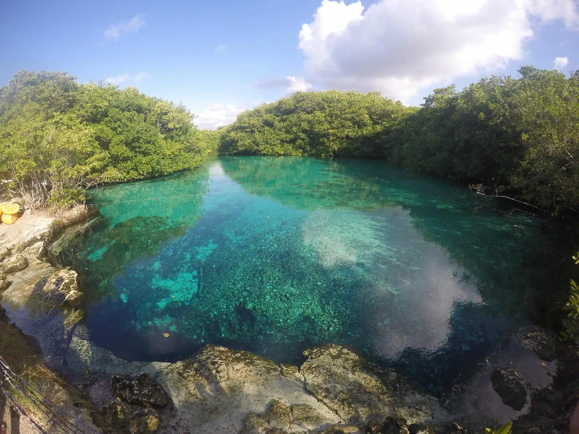 17 Best Tulum Cenotes To Visit In 2025