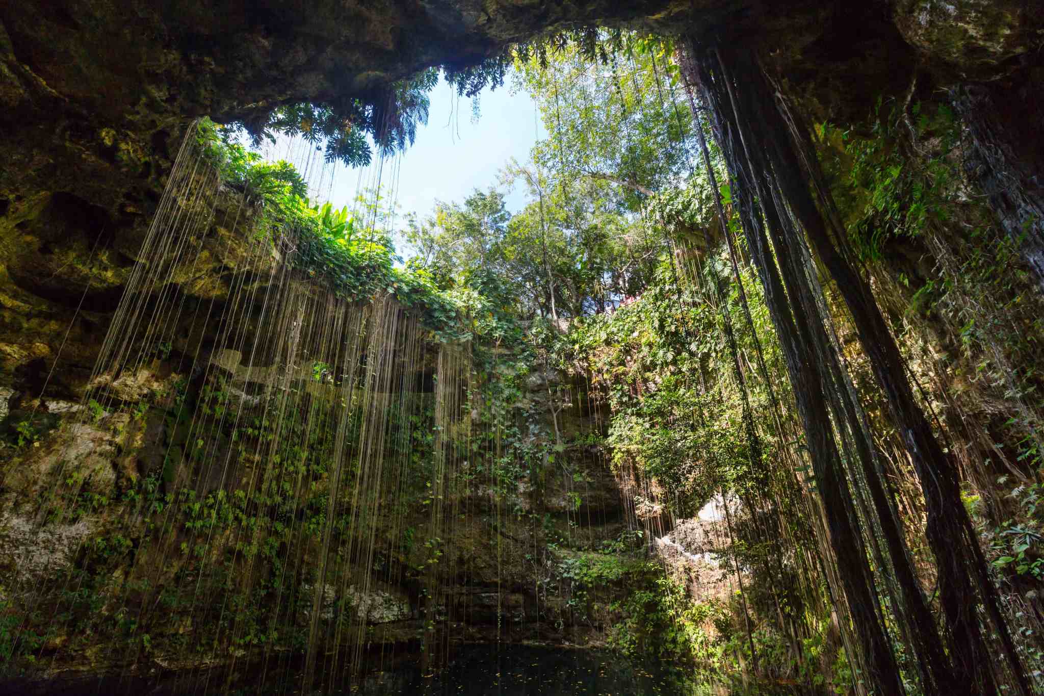 The AMAZING Cenote Ik Kil: Definitive Guide (2025 Edition)