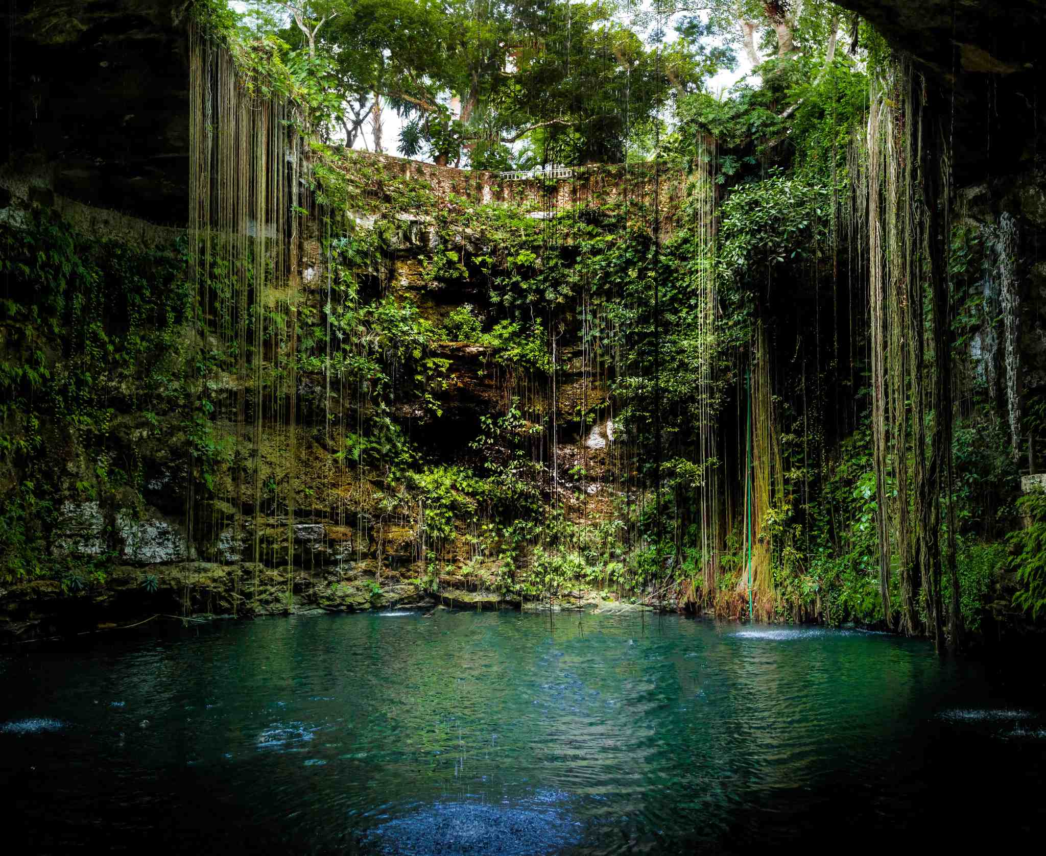 The AMAZING Cenote Ik Kil: Definitive Guide (2025 Edition)
