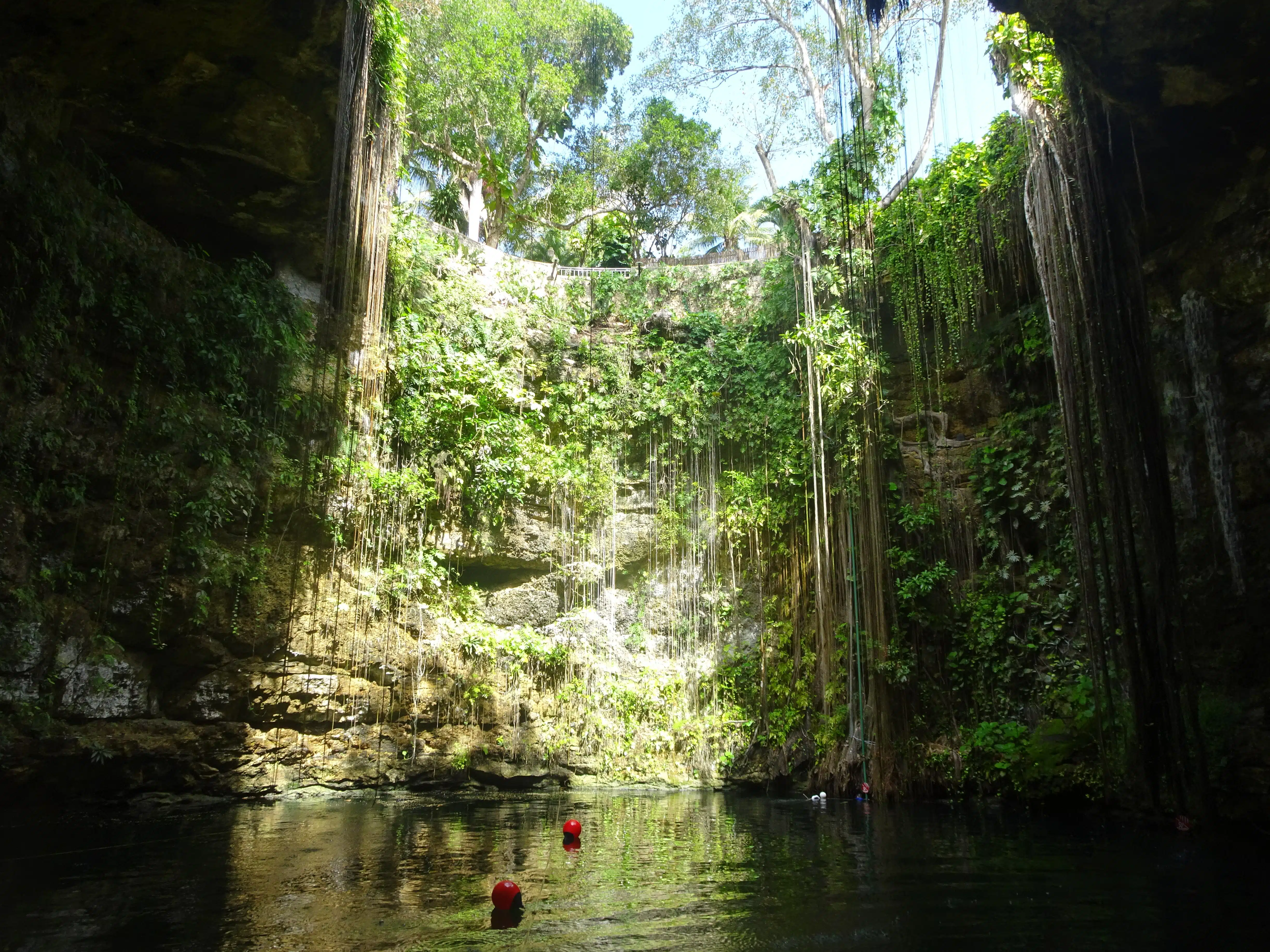 The AMAZING Cenote Ik Kil: Definitive Guide (2025 Edition)