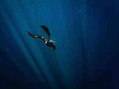 Blue Heron Bridge: FULL Guide To Diving (2024 Edition)