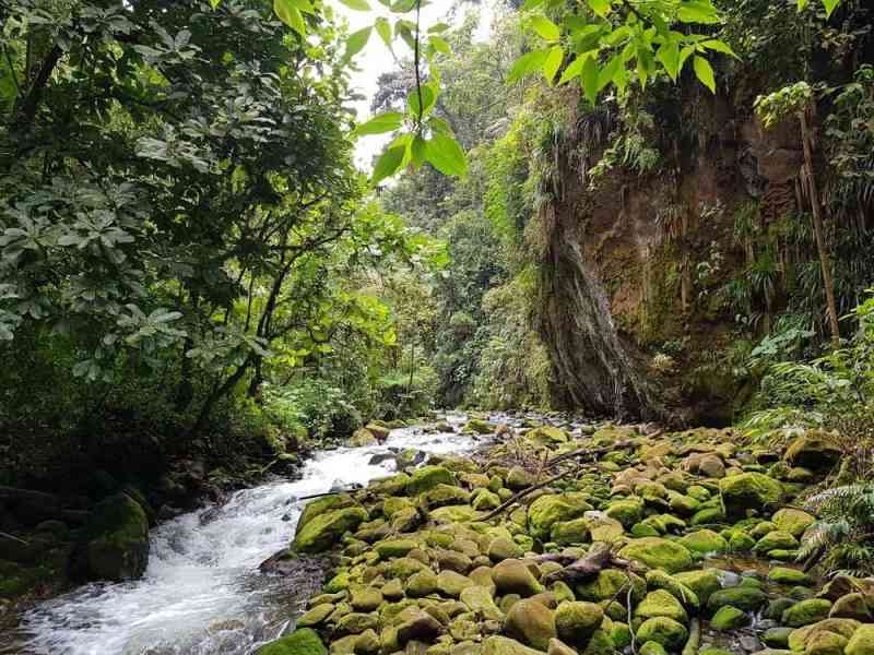 Catarata Rio Agrio, Costa Rica | Hike, Map And Tips For 2025