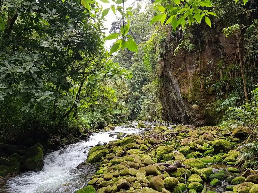 Catarata Rio Agrio, Costa Rica | Hike, Map And Tips For 2025