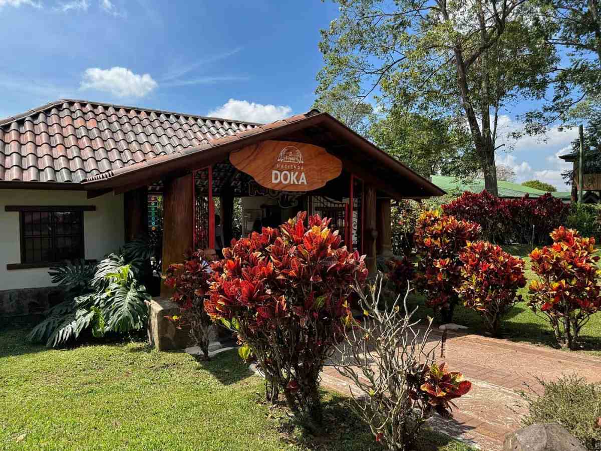 Experience Doka Estate Costa Rica Coffee Tour & Plantation In 2024
