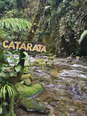 Catarata Rio Agrio, Costa Rica | Hike, Map And Tips For 2024
