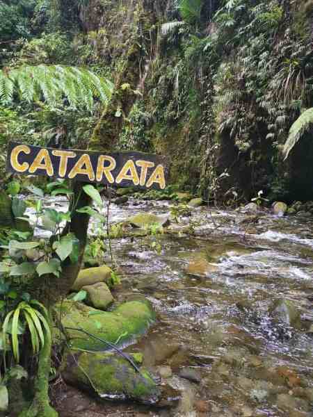 Catarata Rio Agrio, Costa Rica | Hike, Map And Tips For 2024