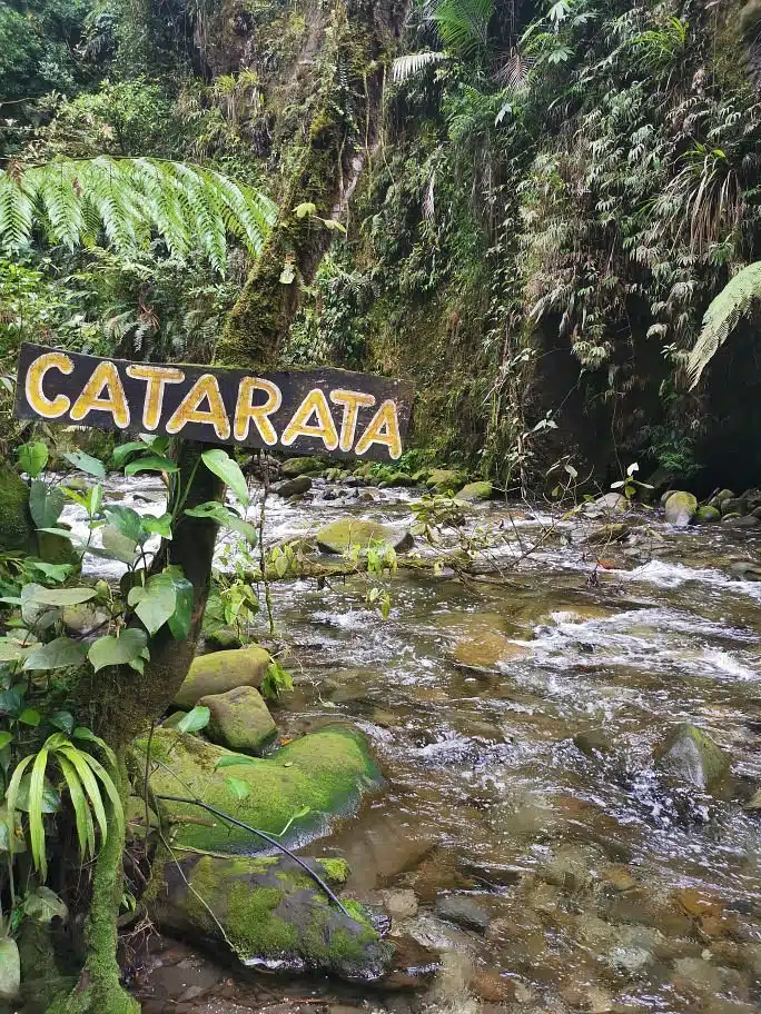 Catarata Rio Agrio, Costa Rica | Hike, Map And Tips For 2025