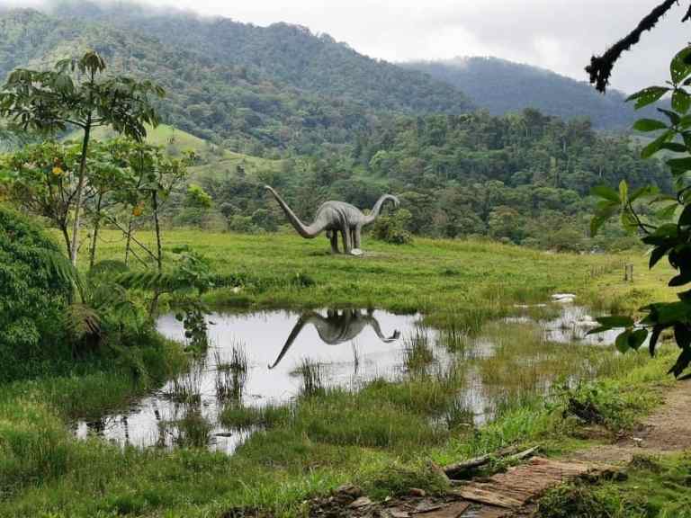 Catarata Rio Agrio, Costa Rica | Hike, Map And Tips For 2024