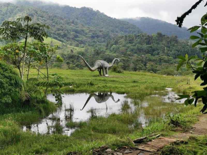 Catarata Rio Agrio, Costa Rica | Hike, Map And Tips For 2024