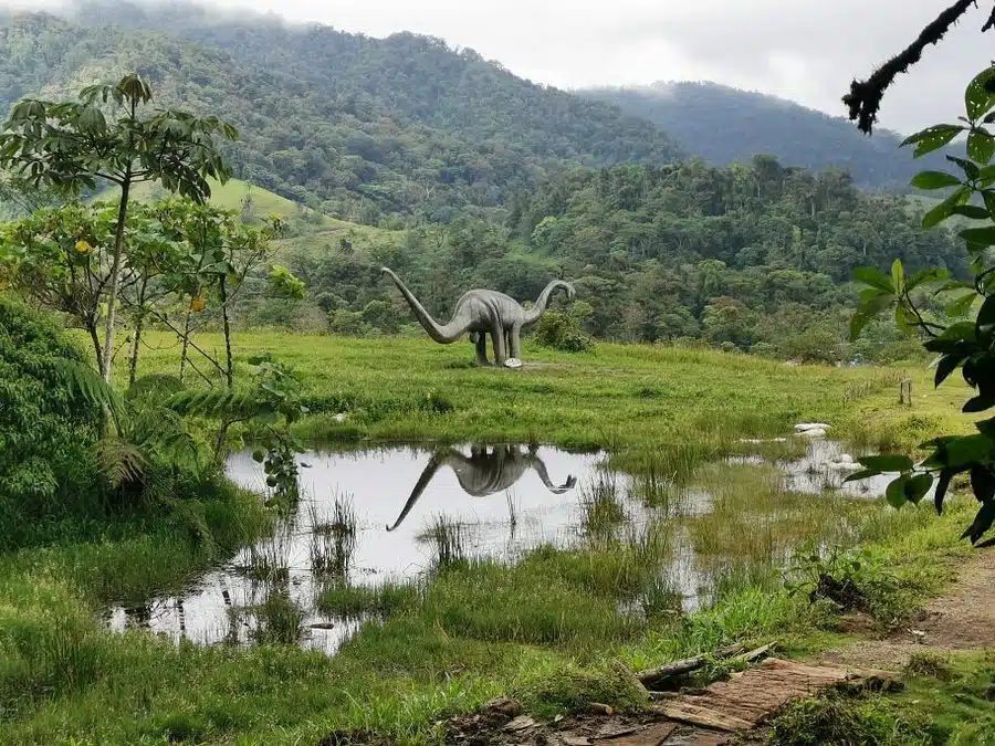 Catarata Rio Agrio, Costa Rica | Hike, Map And Tips For 2025