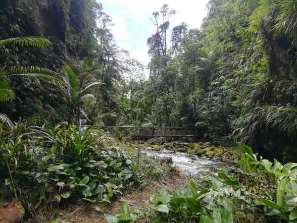 Catarata Rio Agrio, Costa Rica | Hike, Map And Tips For 2024