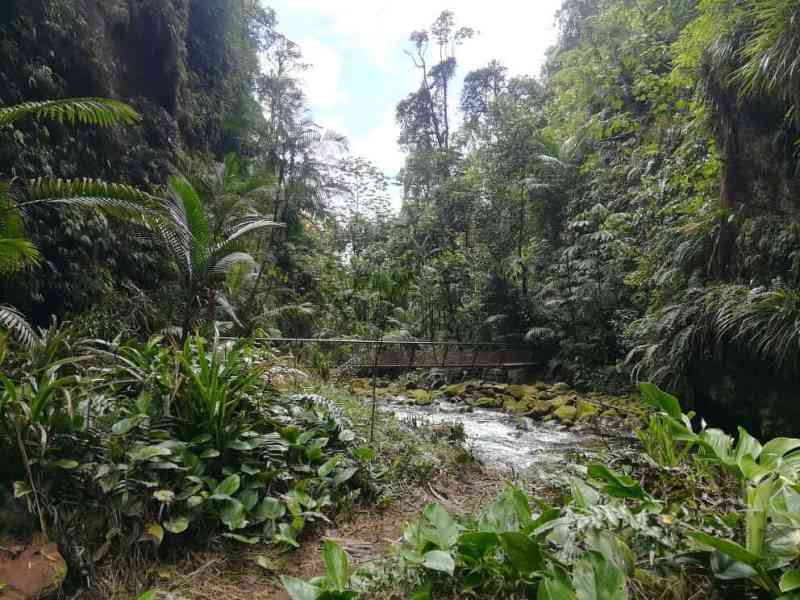 Catarata Rio Agrio, Costa Rica | Hike, Map And Tips For 2024