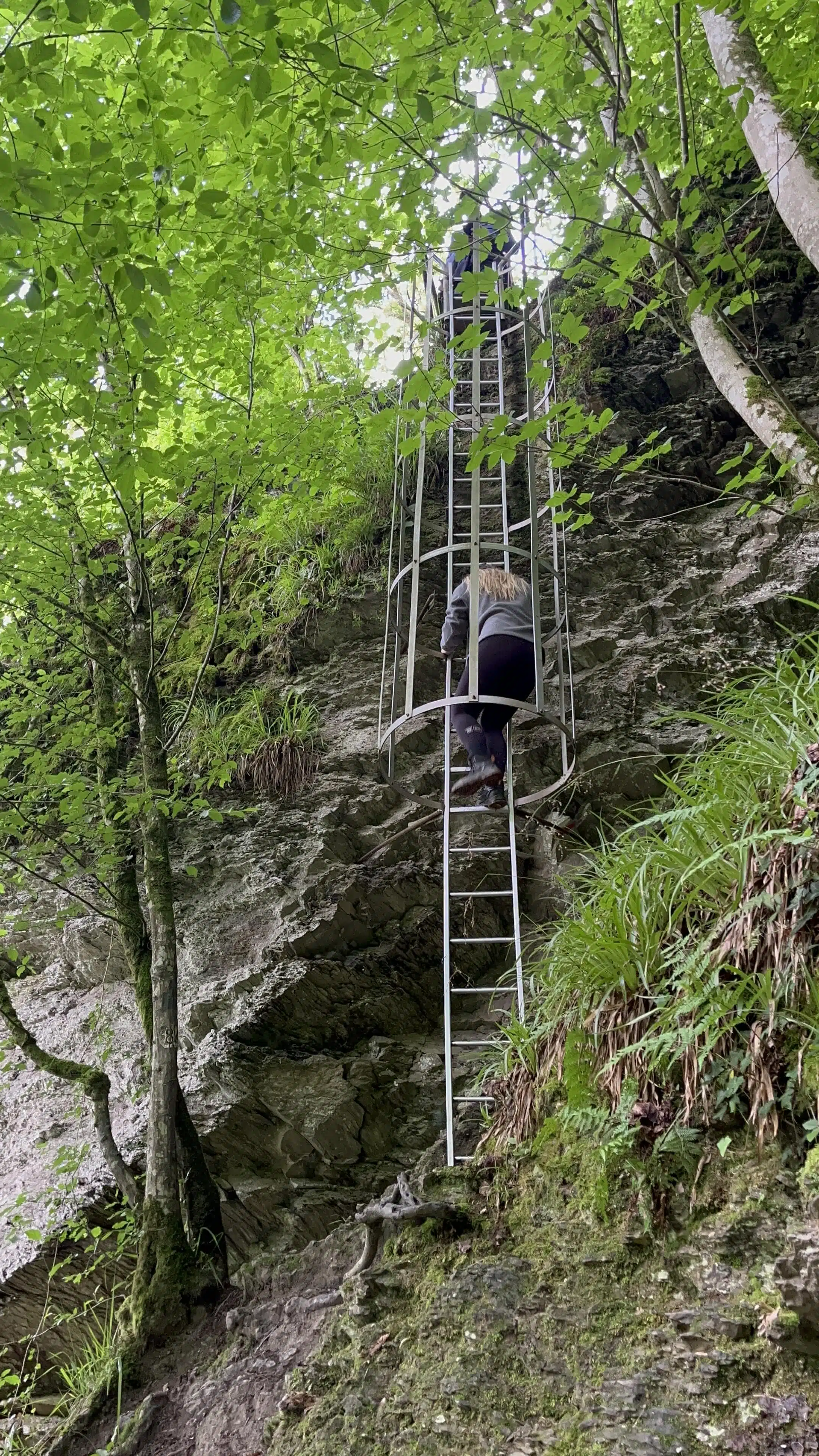 Balades Des Echelles In Rochehaut Ardennes: Why Its Special