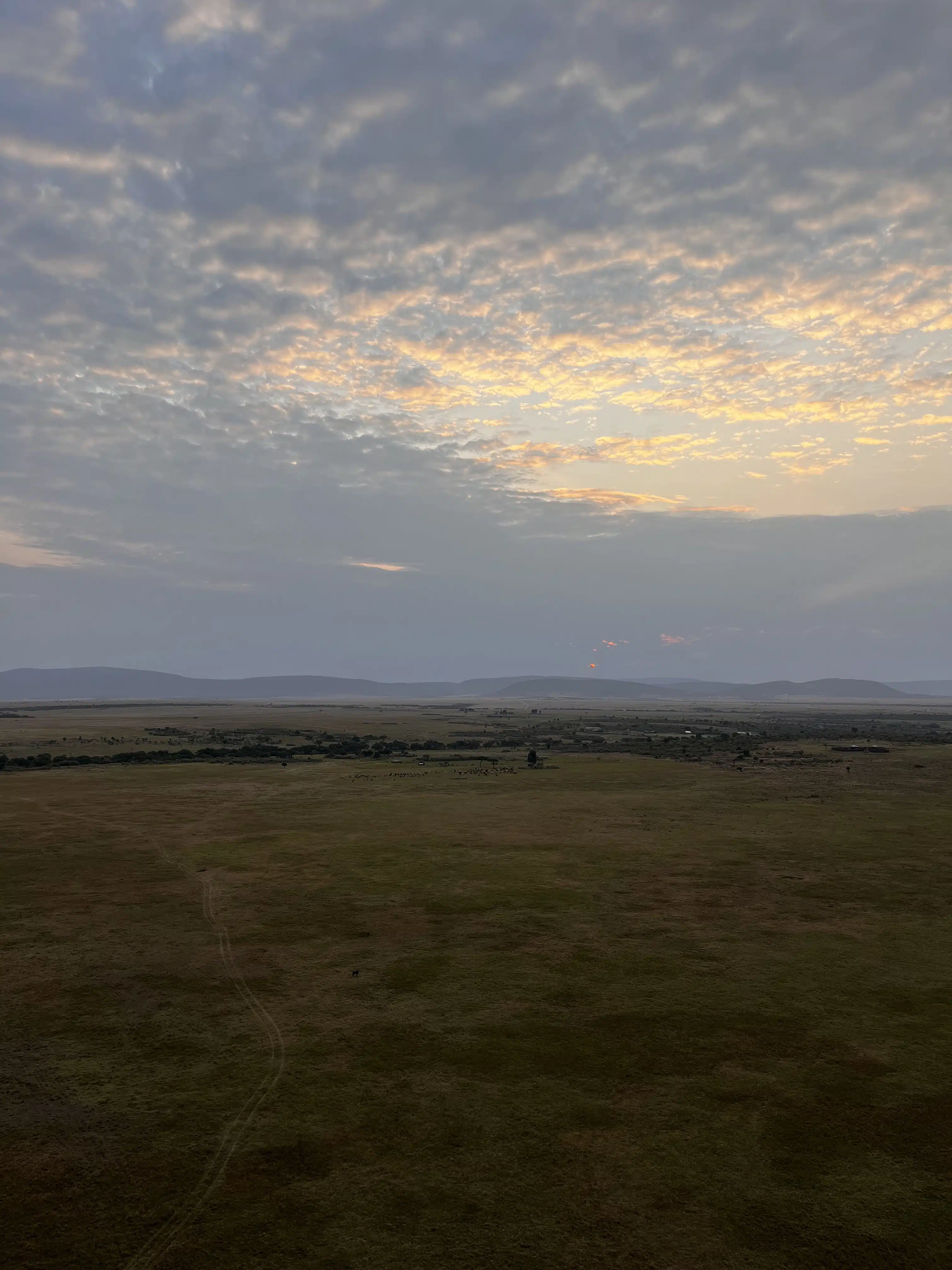 Masai Mara Hot Air Balloon: What To Expect In 2025?