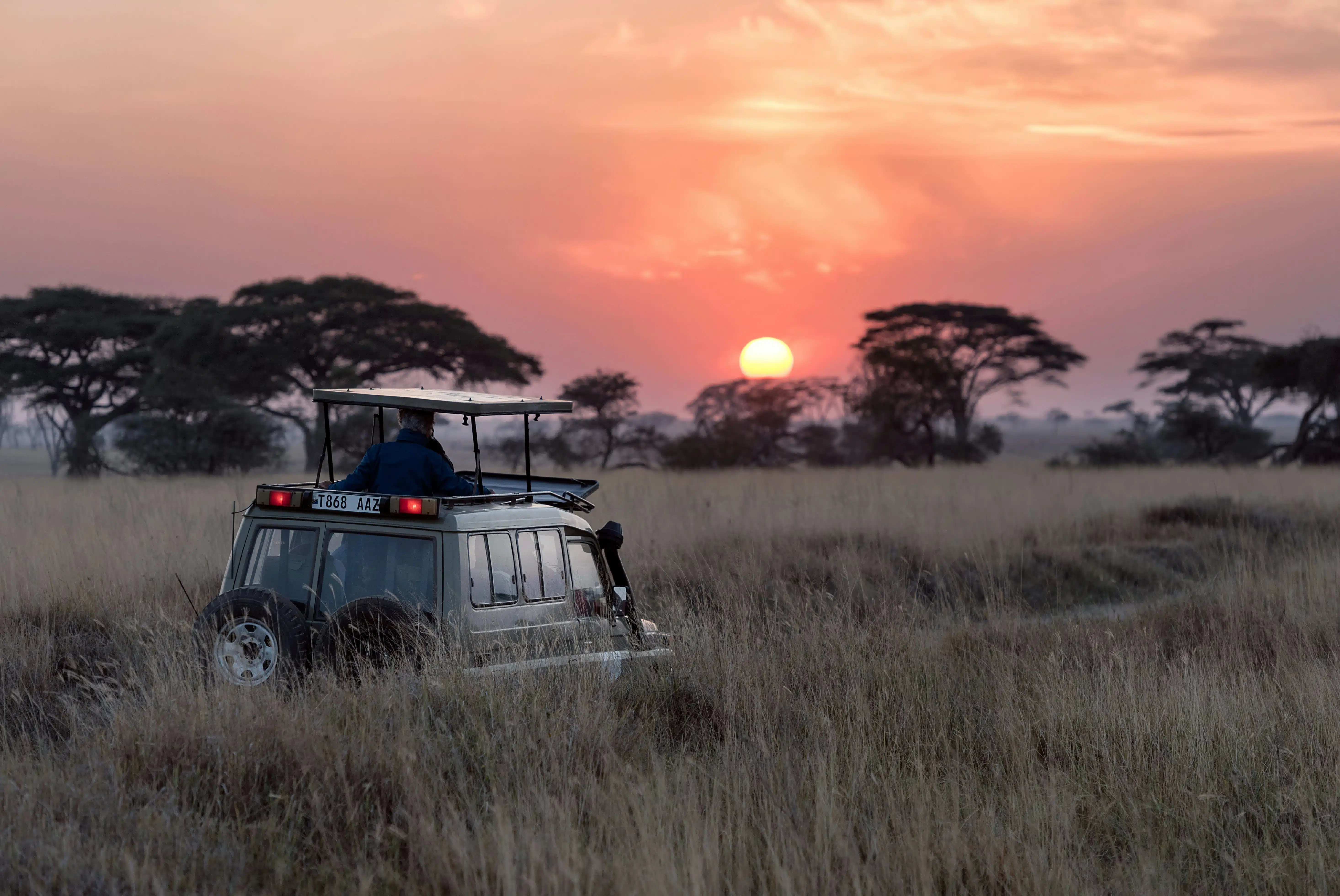 Amboseli National Park Kenya: 2025 Guide With 23 FAQs