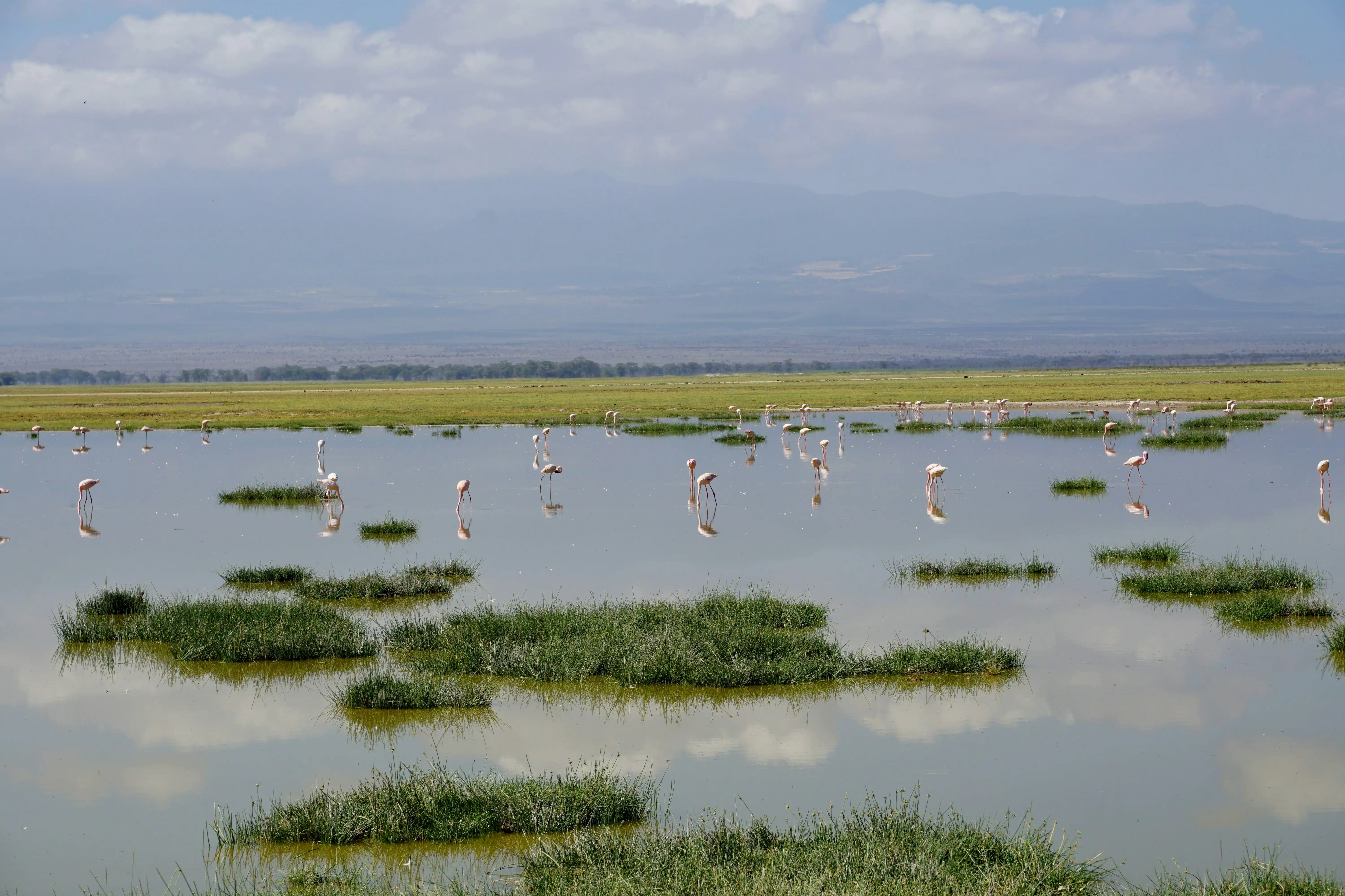 Amboseli National Park Kenya: 2025 Guide With 23 FAQs