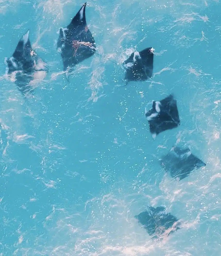 List Of All French Polynesian Islands In 2025!