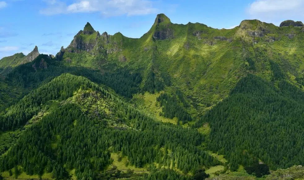 Rapa French Polynesia, The Most Remote Inhabited Island (+FAQs)!