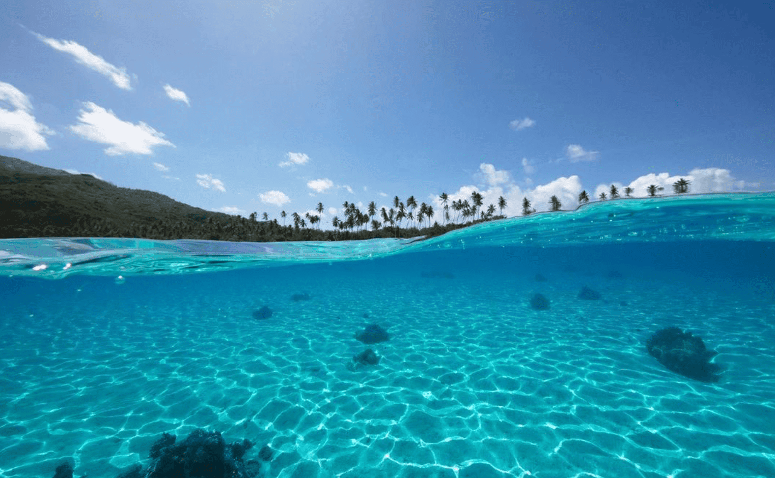 Temae Beach Guide: WHY The Most Beautiful Beach In Moorea?