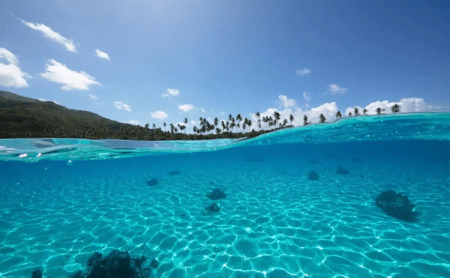 Temae Beach Guide: WHY The Most Beautiful Beach In Moorea?