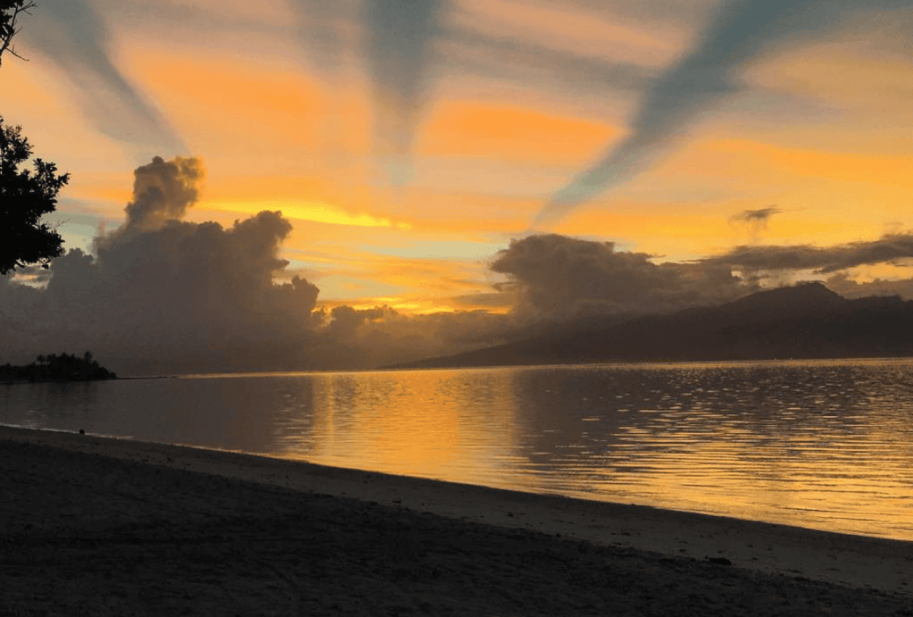 Temae Beach Guide: WHY The Most Beautiful Beach In Moorea?
