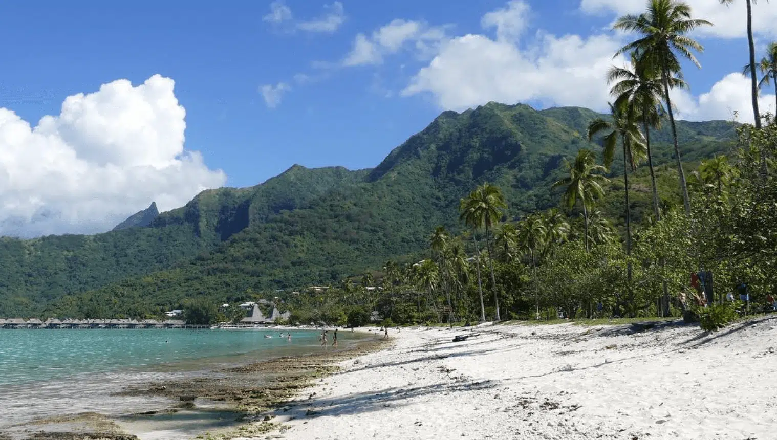 Temae Beach Guide: WHY The Most Beautiful Beach In Moorea?