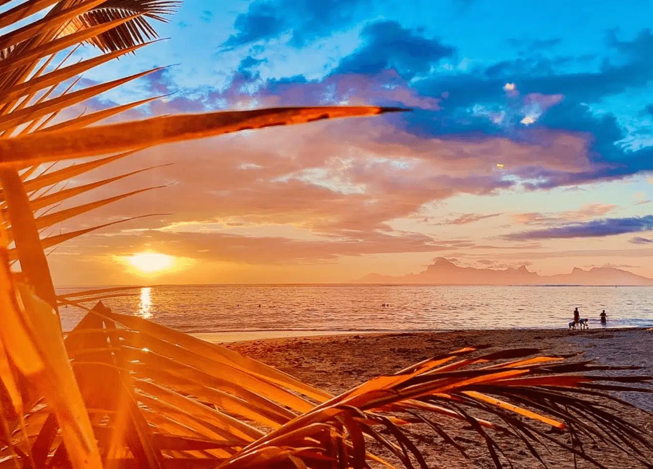 The TOP 12 Tahiti Beaches To Visit In 2025!