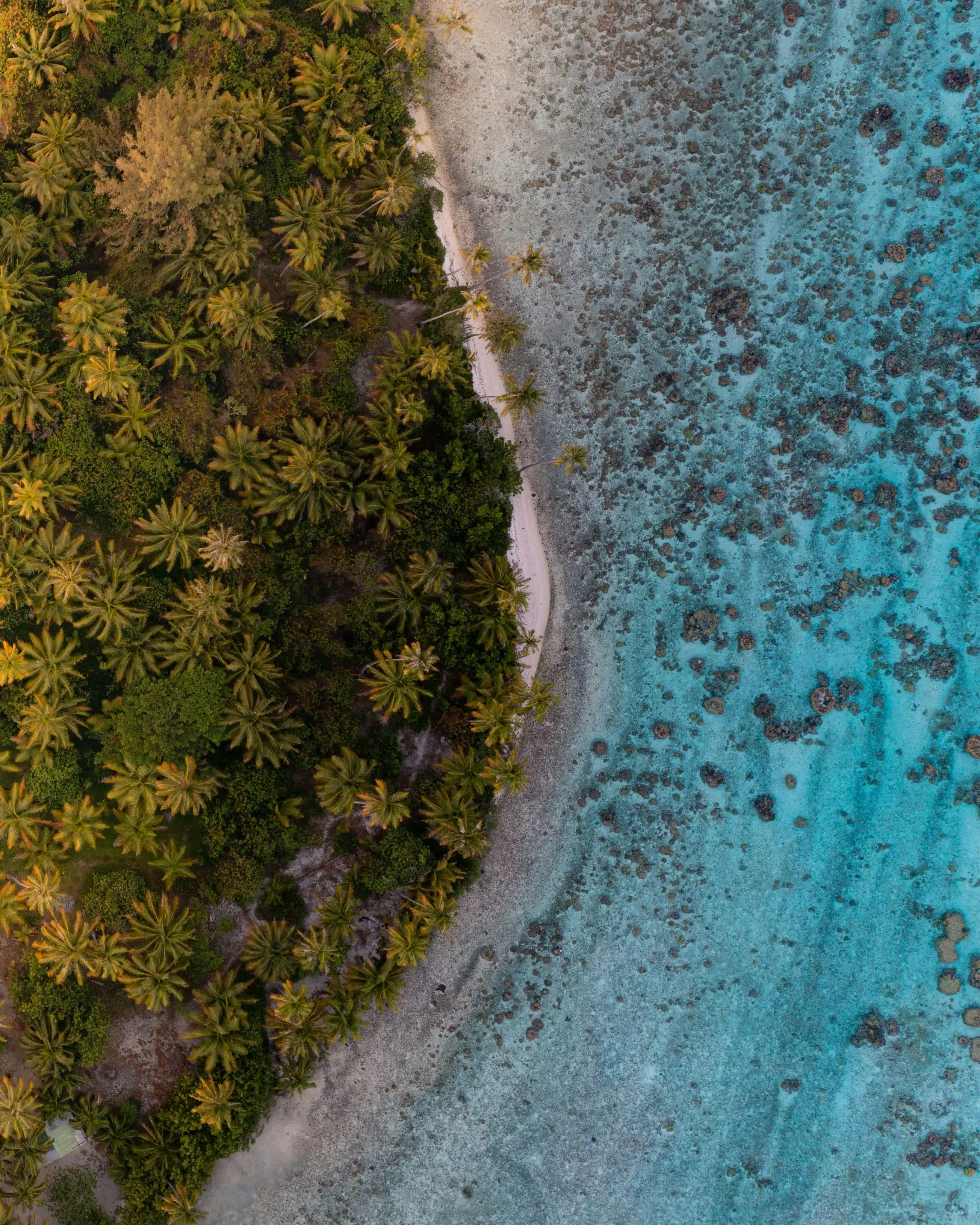 Vahine Island Resort & Spa à Tahaa - All You Need To Know (2025)