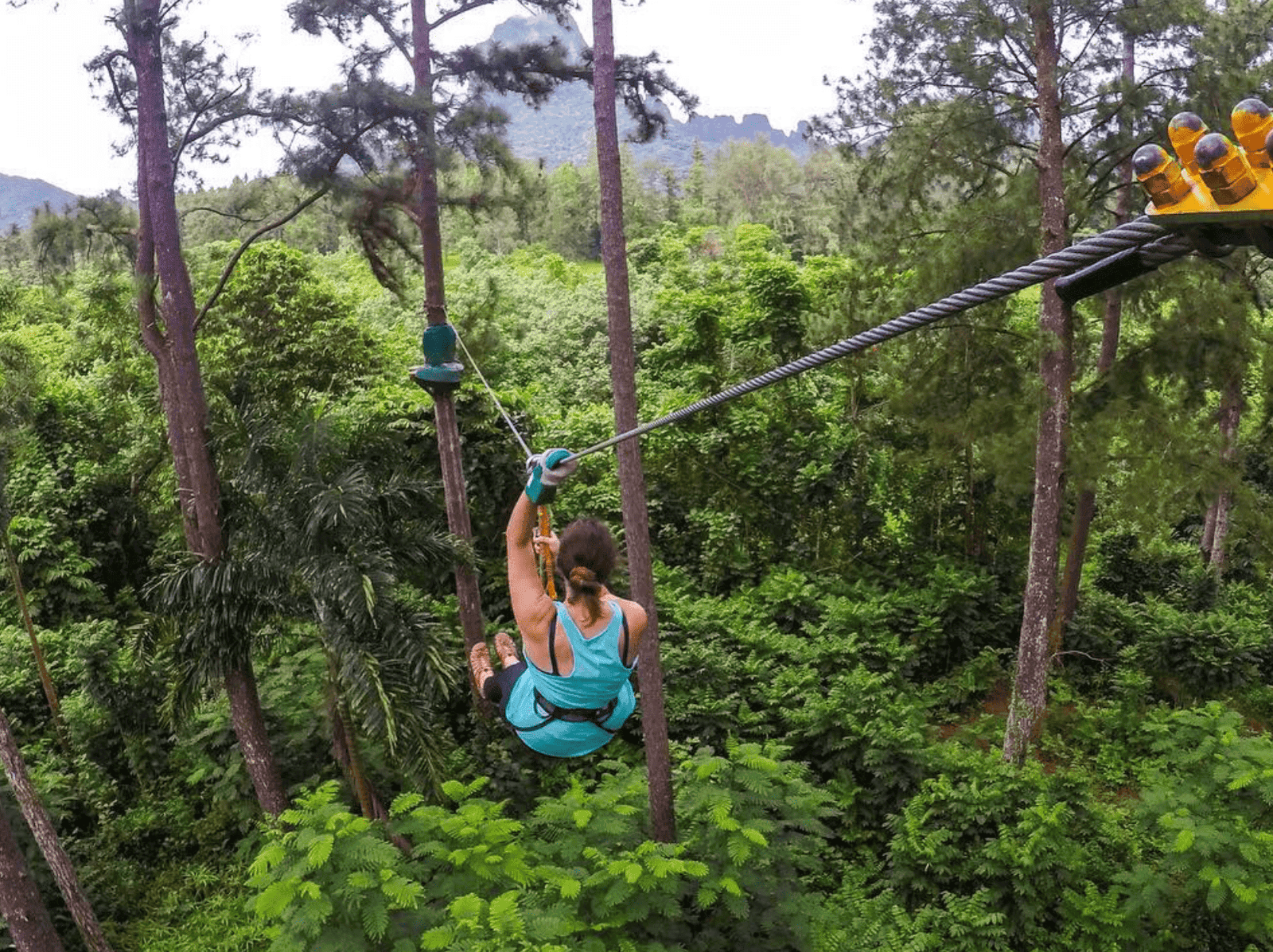 Top 23 Things To Do In Moorea In 2025