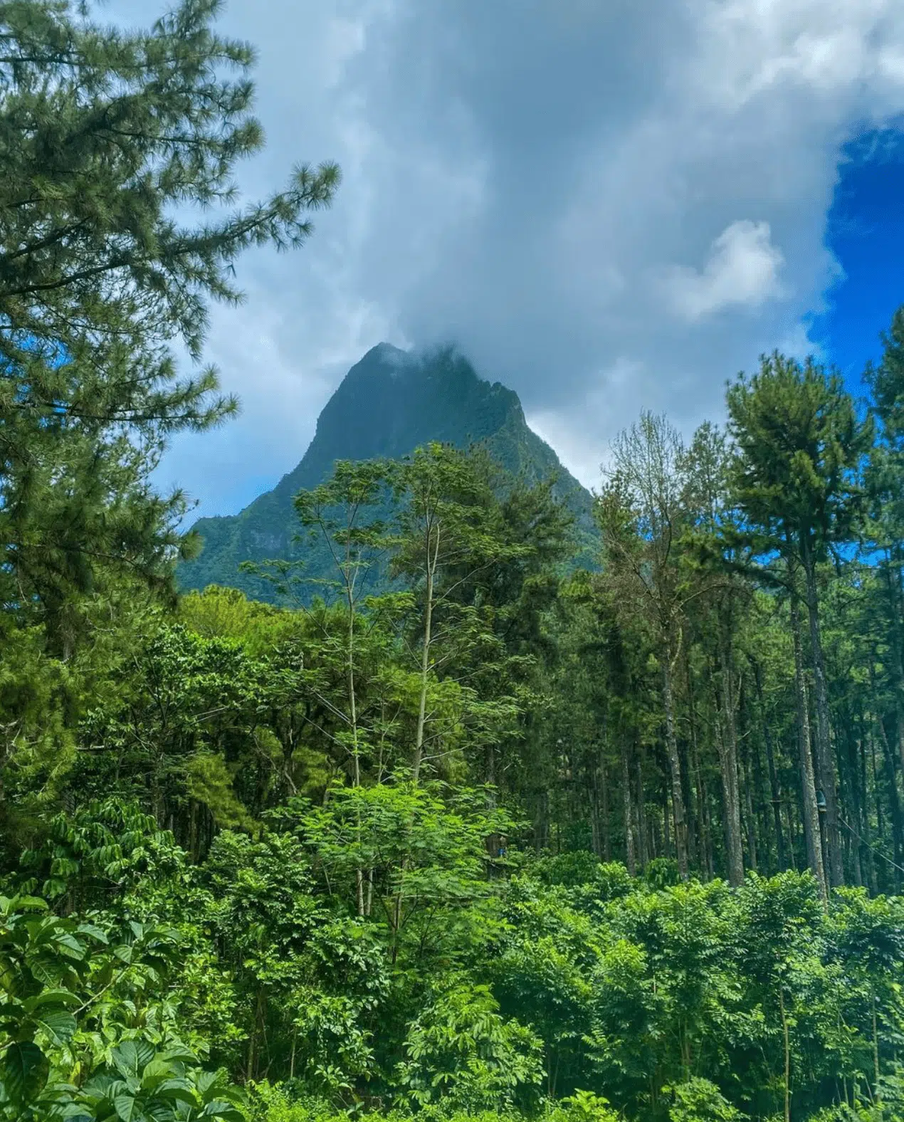 Top 23 Things To Do In Moorea In 2025