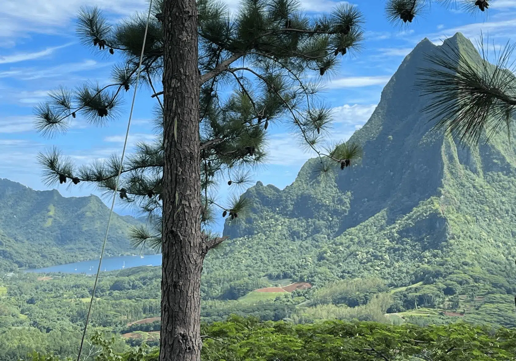 Top 23 Things To Do In Moorea In 2025
