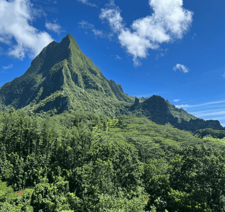 Climbing Mount Rotui (Moorea) In 2025: Full Guide