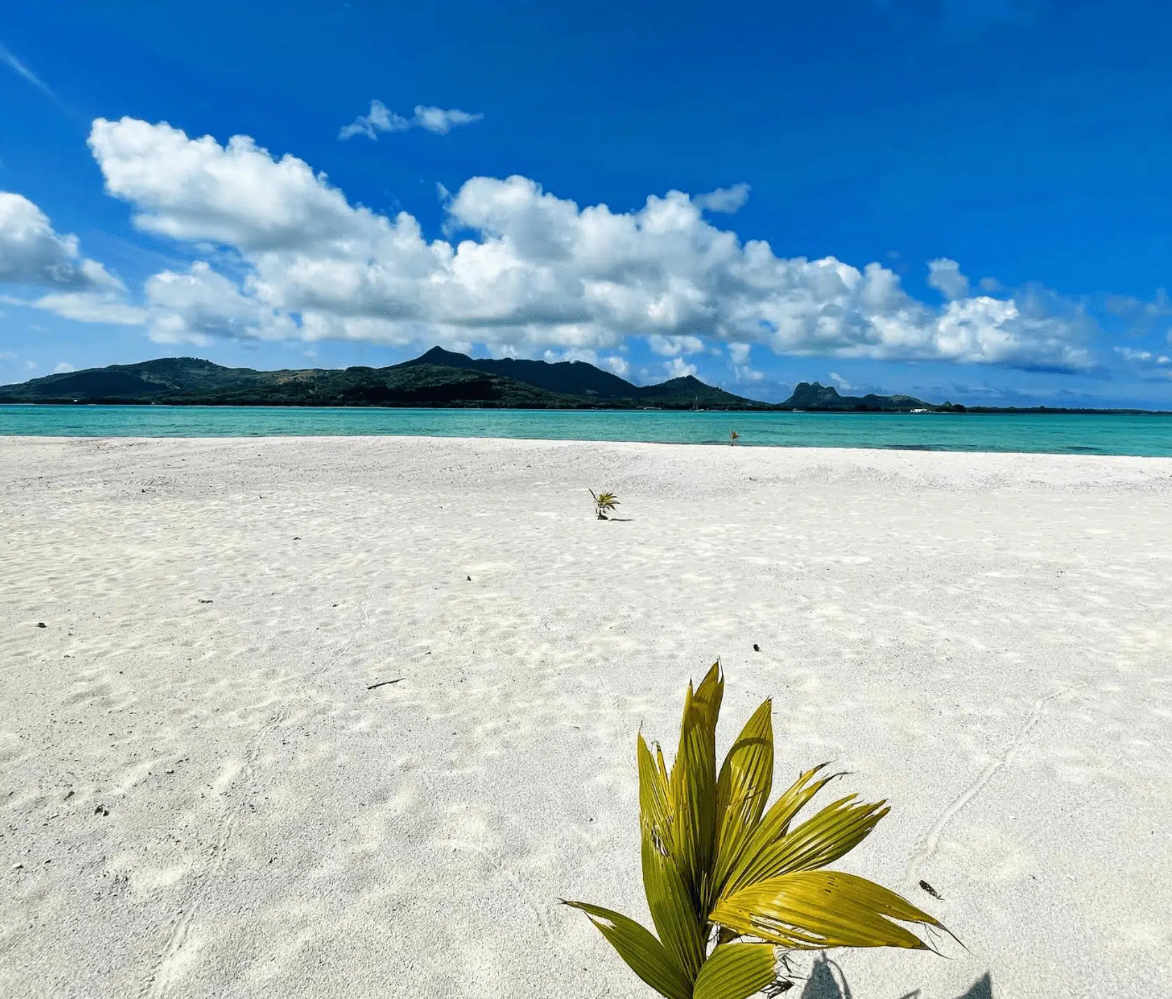 Motu One: All You Need To Know For 2025 (Society Islands)