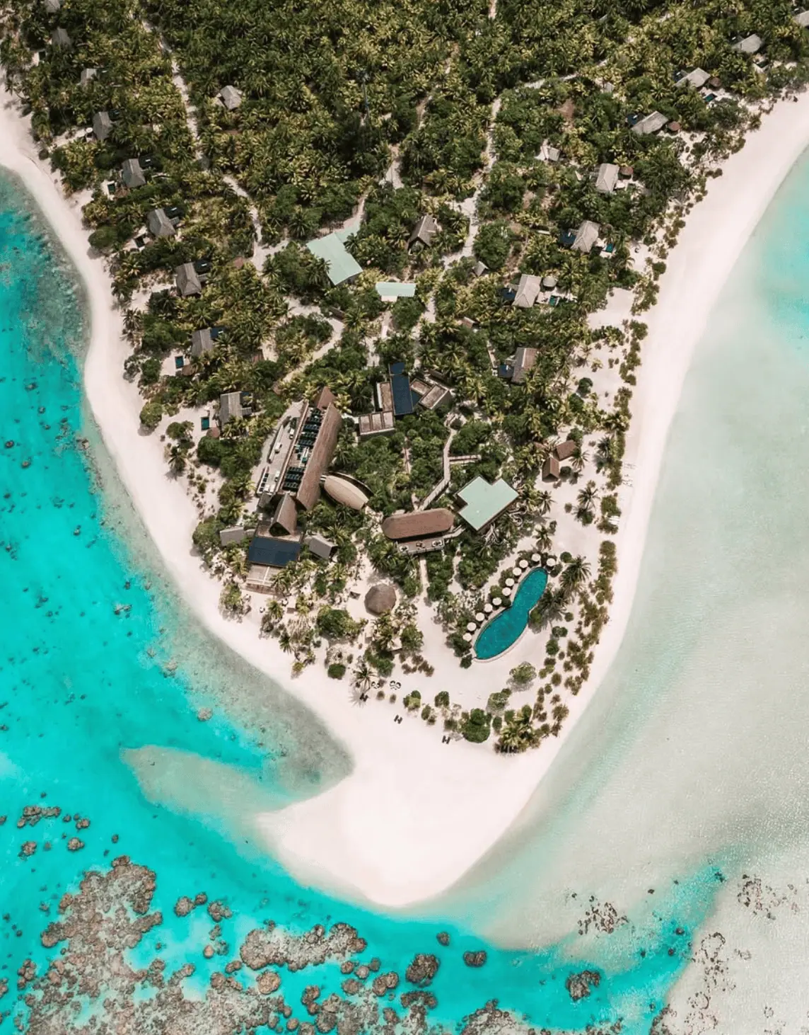 What To Expect From Tetiaroa: The Marlon Brando Island?