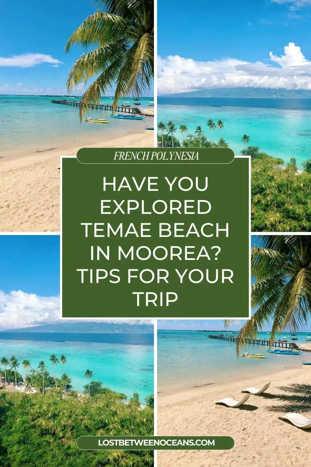 Temae Beach Guide: WHY The Most Beautiful Beach In Moorea?