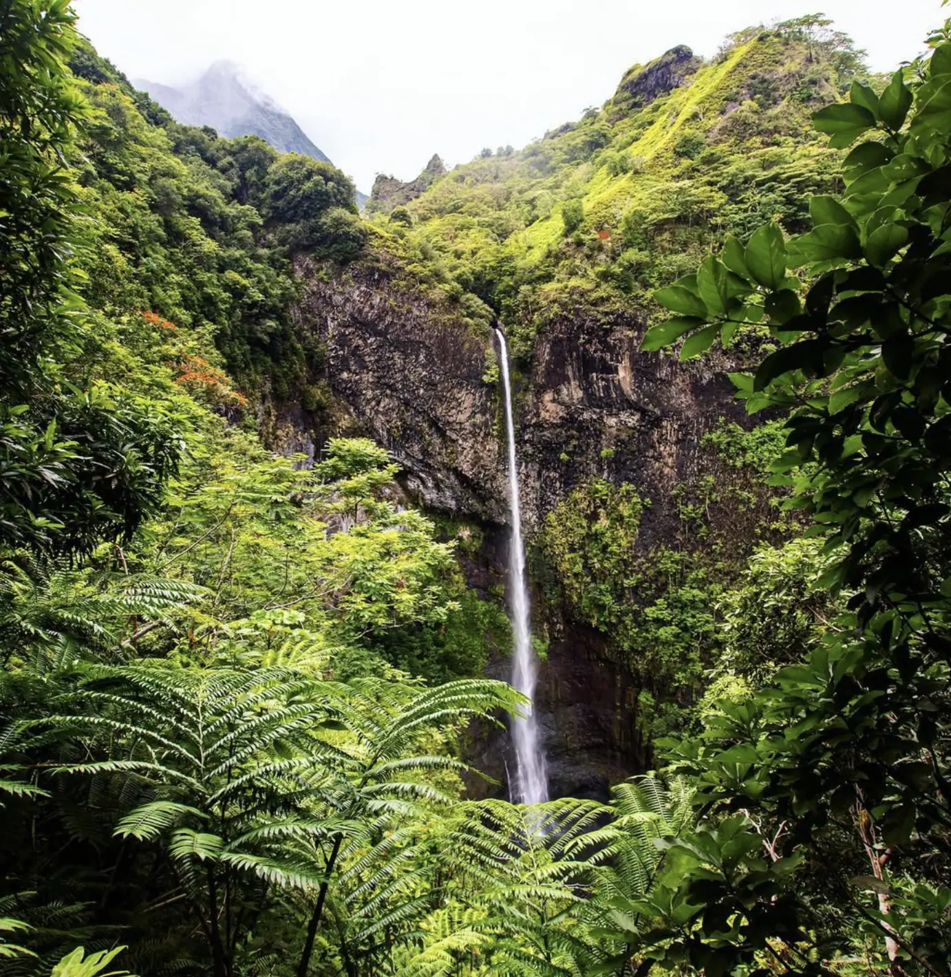 What Are The 7 Best Tahiti Waterfalls For 2025?