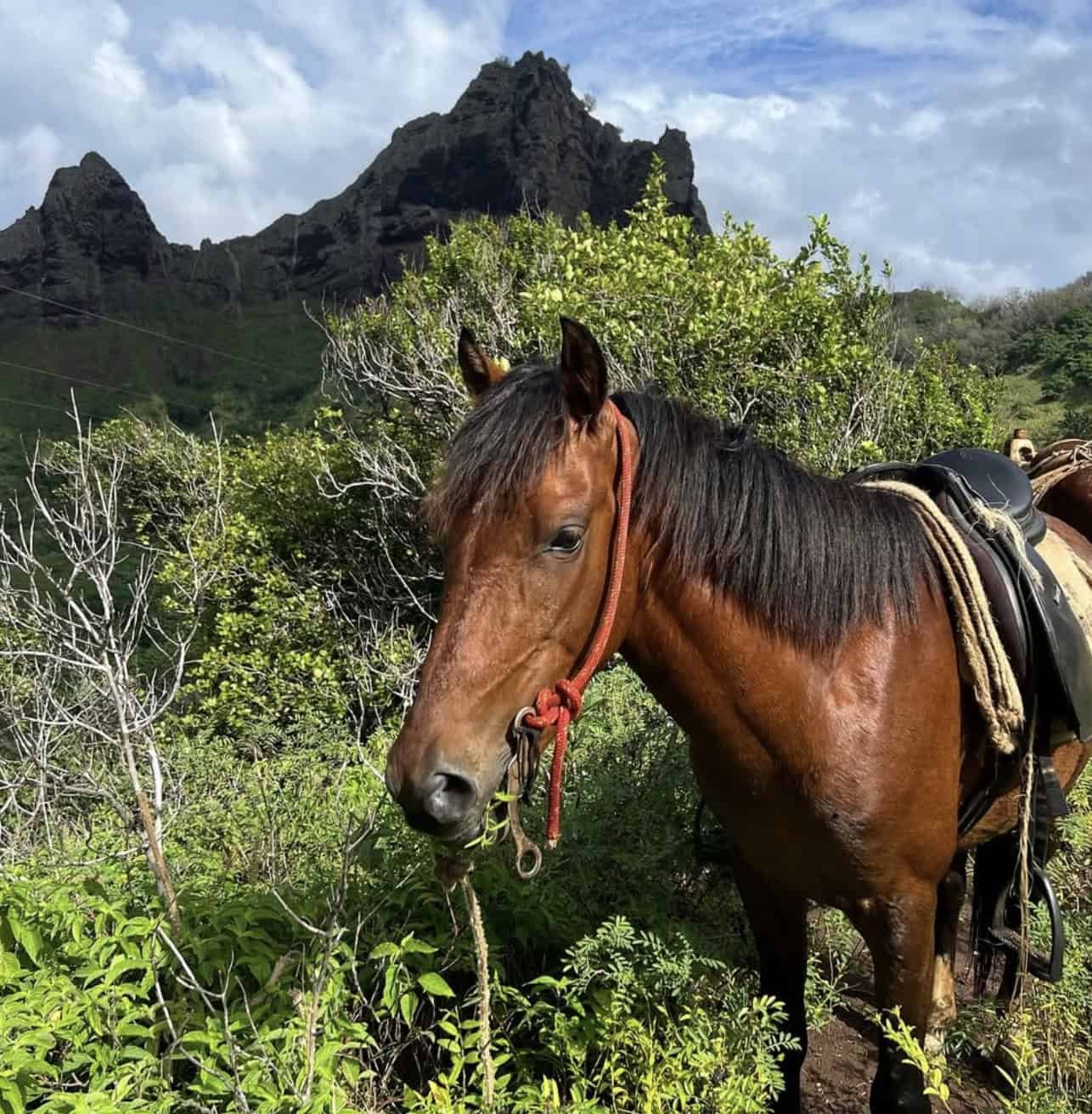 Discover Ua Huka: The Volcanic Island (with Itinerary)!